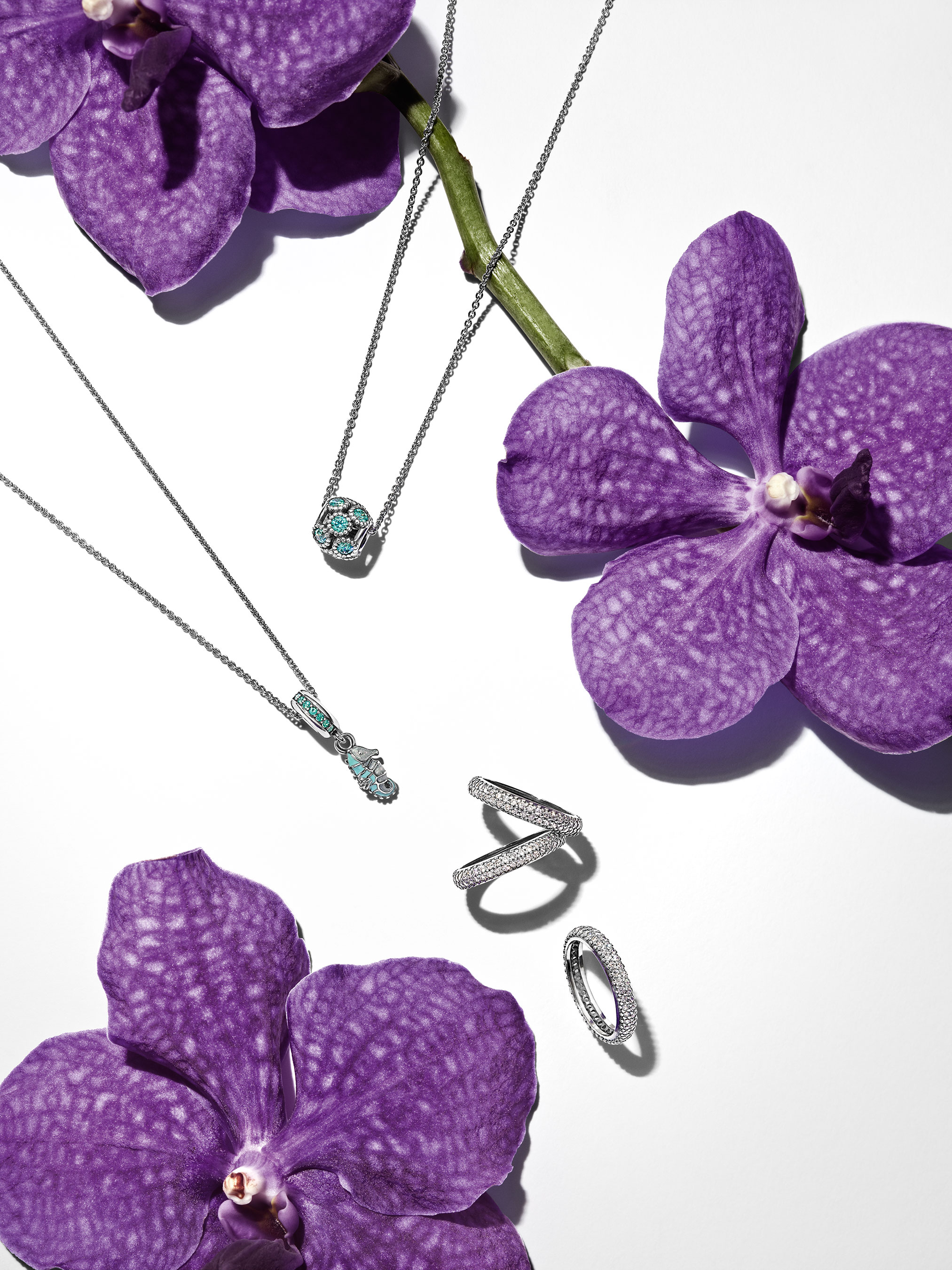 PANDORA Makes Every Month of the Year Unique with the New “Ring of the ...