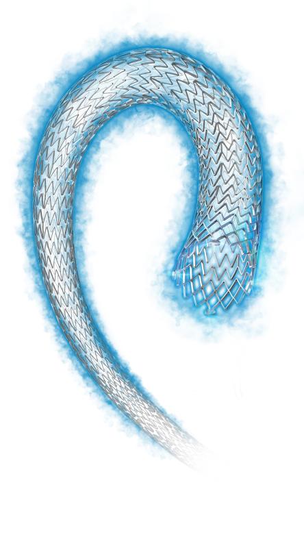ELUVIA™ DRUG-ELUTING VASCULAR STENT SYSTEM DEMONSTRATES 12-MONTH ...
