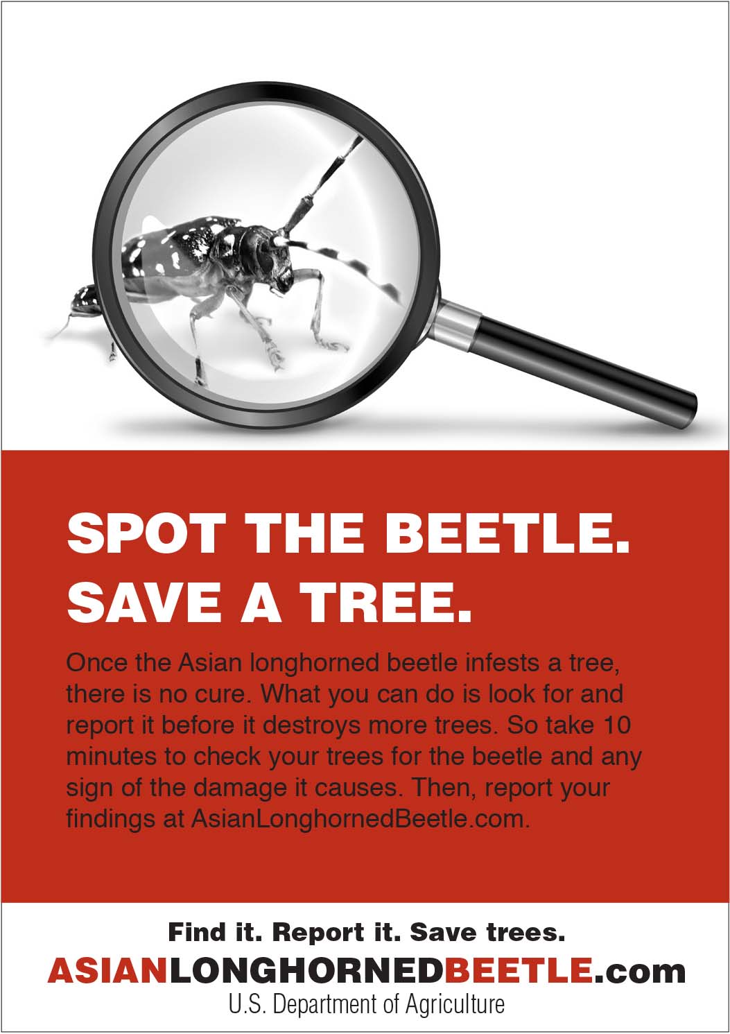 The Best Protection for Trees? You. August is Tree Check Month.