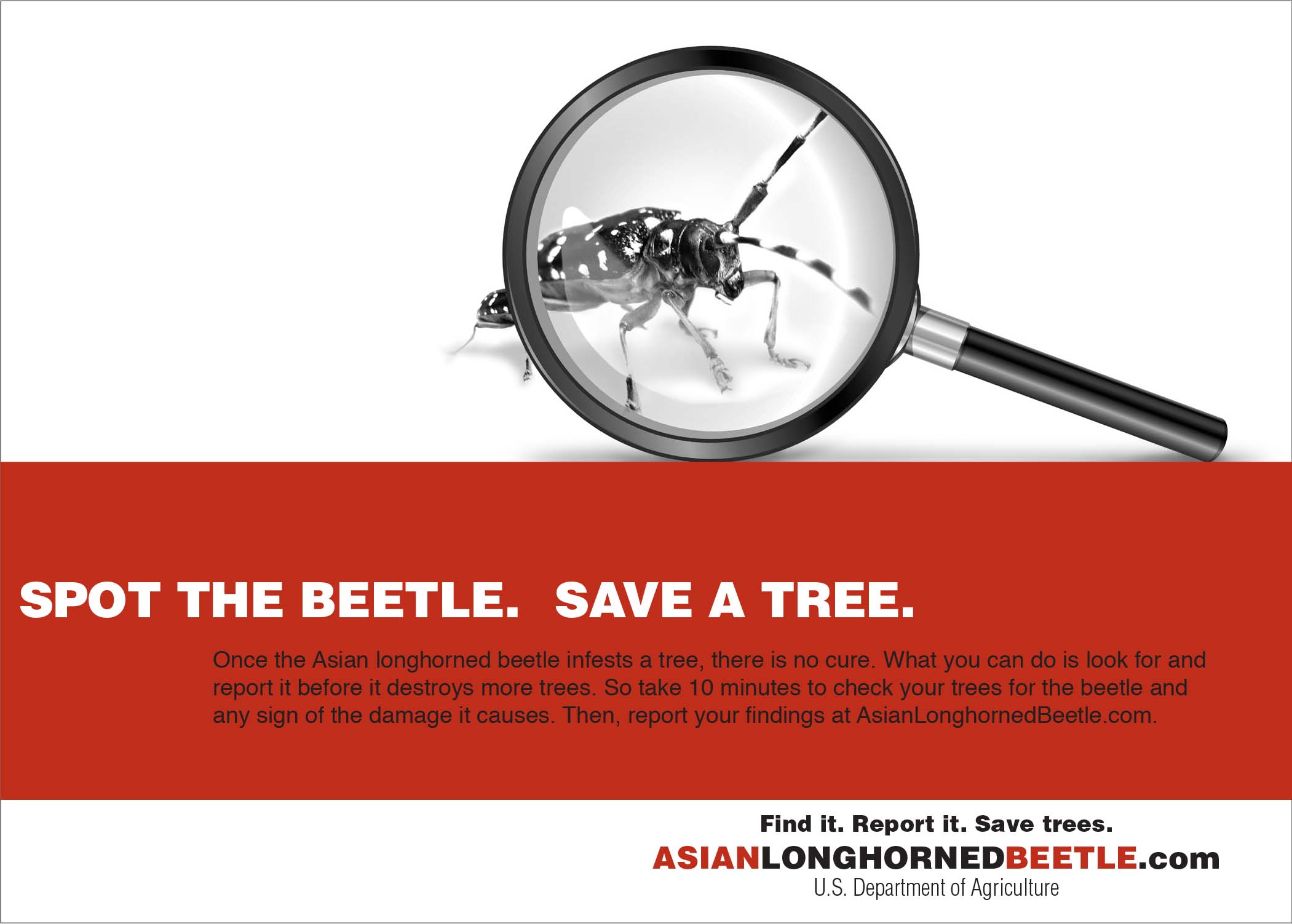 The Best Protection for Trees? You. August is Tree Check Month.