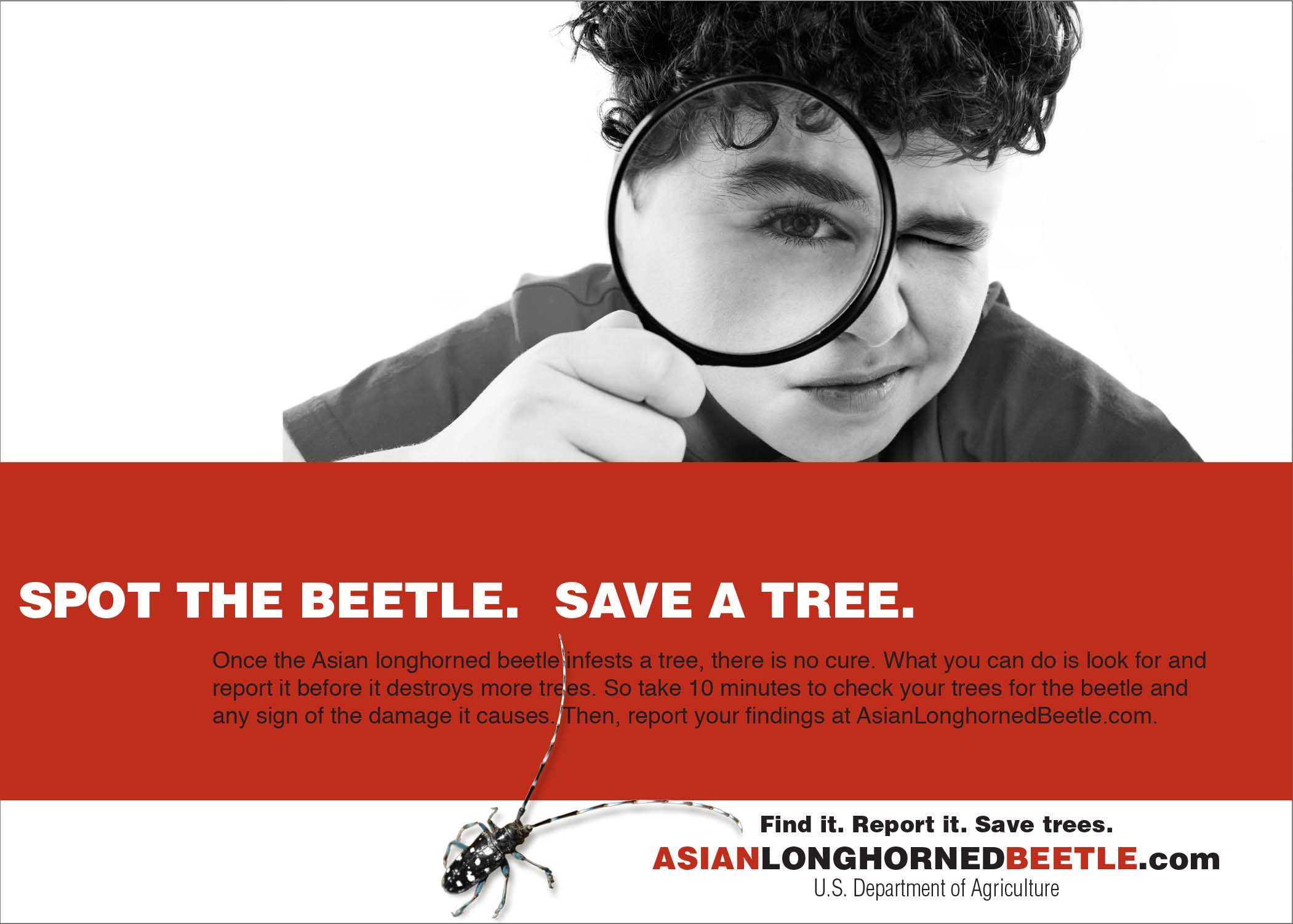 The Best Protection for Trees? You. August is Tree Check Month.