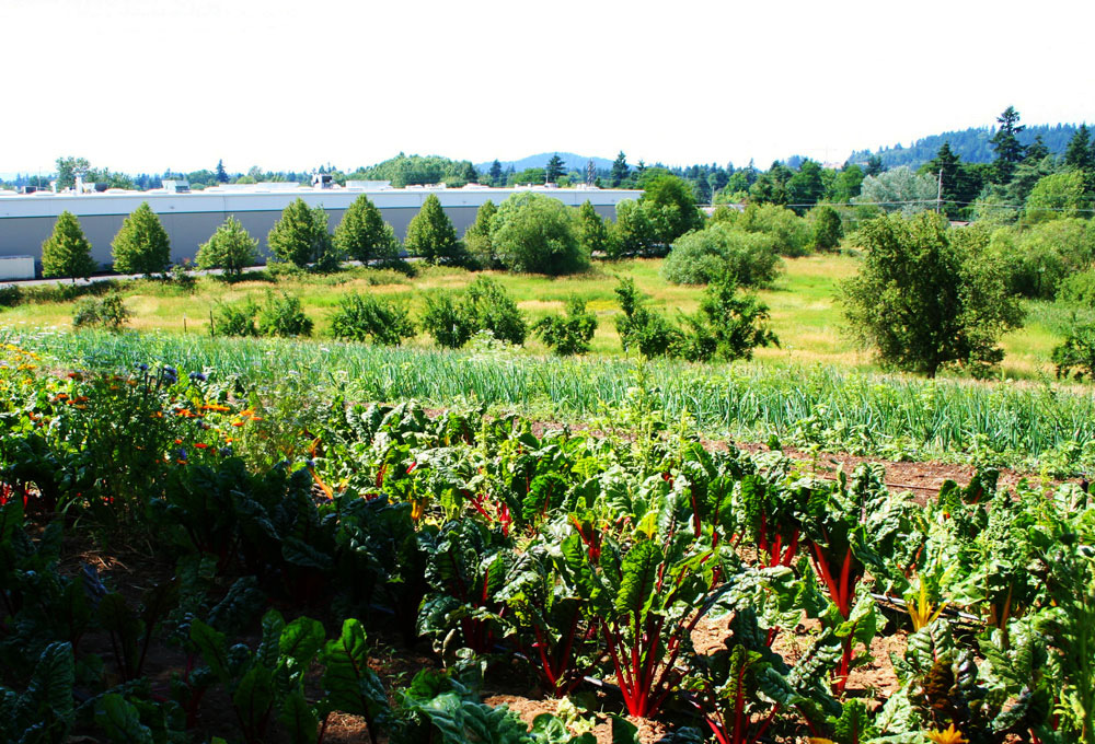 ASLA Launches the Landscape Architect’s Guide to Portland