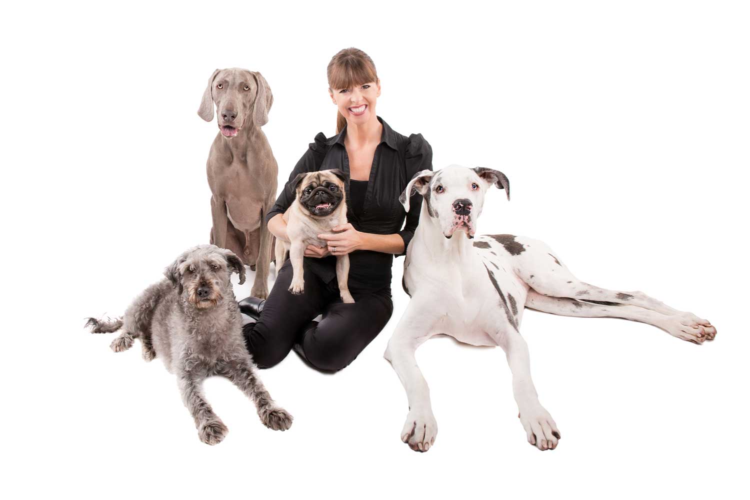 Ultimate Dog-Related Website Launched by Celebrity Dog Expert Victoria ...