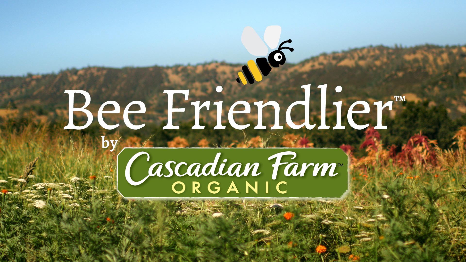 CASCADIAN FARM LAUNCHES ‘BEE FRIENDLIER’ PROGRAM TO HELP PROTECT BEES