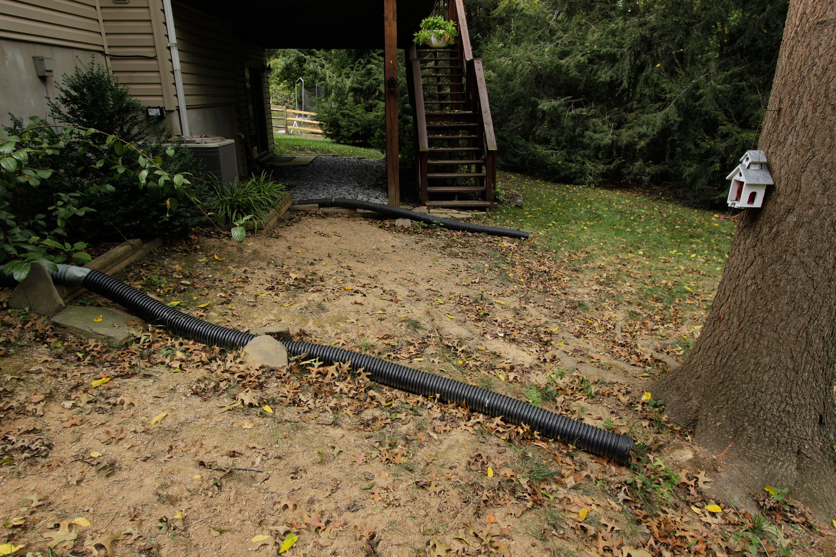 TruGreen Reveals Sweepstakes Winner’s Backyard Makeover in Videos