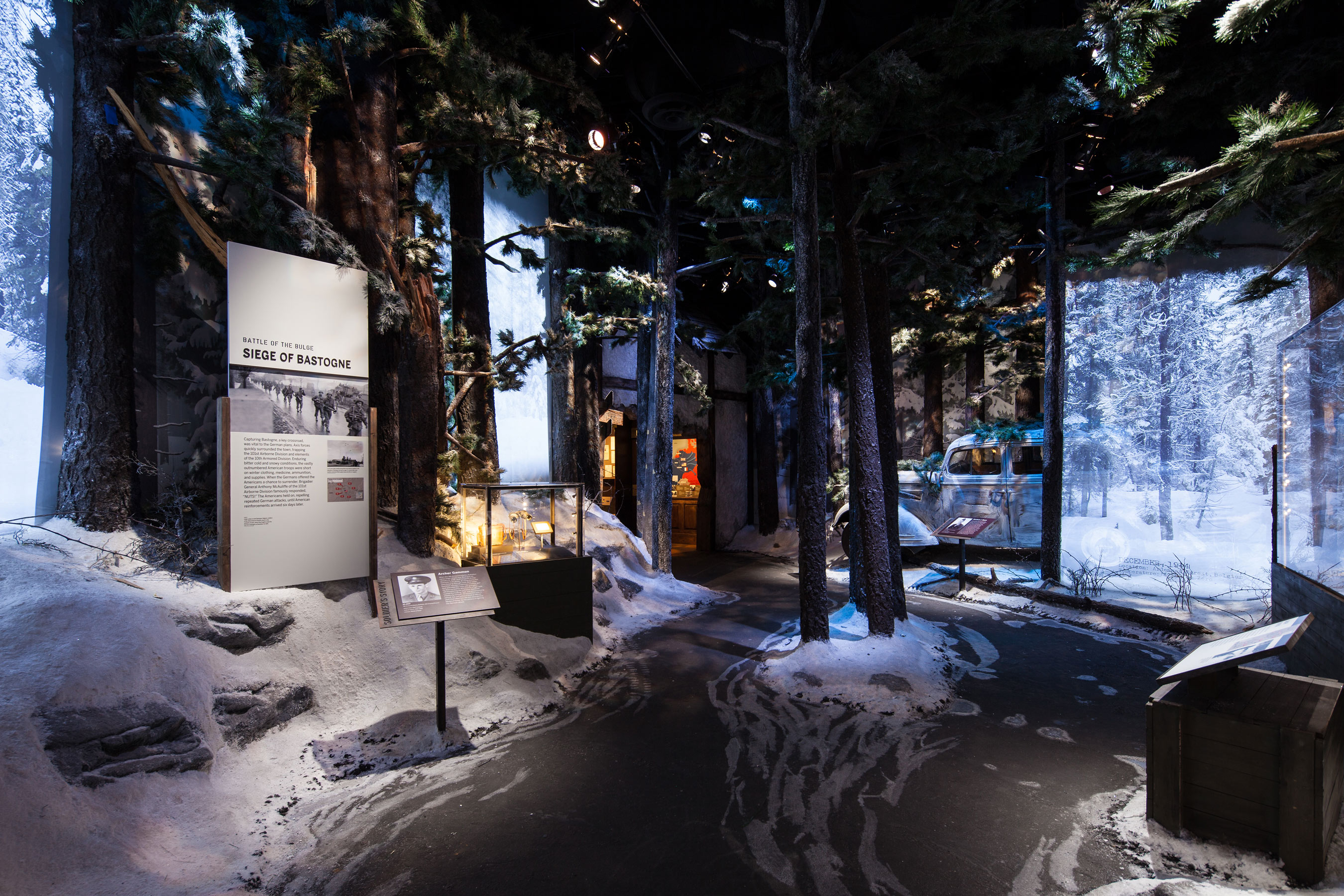 Campaigns of Courage: European and Pacific Theaters