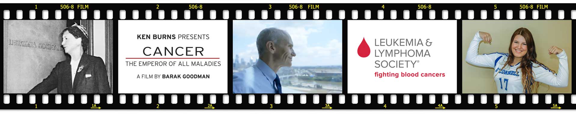 Cancer Research Funded by The Leukemia & Lymphoma Society Featured in ...