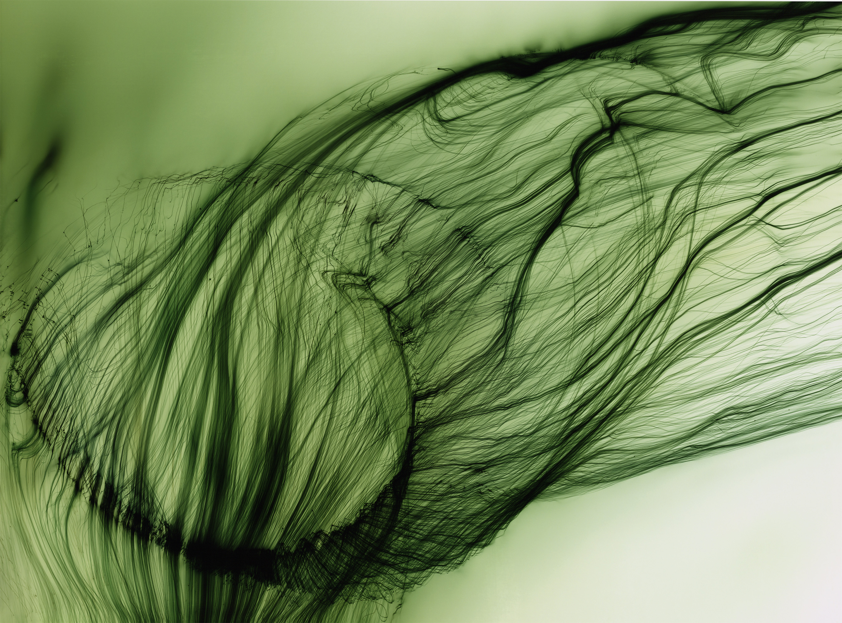 Wolfgang Tillmans – 2015 Hasselblad Award Winner