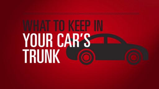 Turkeys and Dipping Mercury Mean Time for a Trunk Transformation!