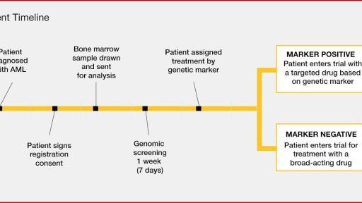 The Leukemia & Lymphoma Society Launches Groundbreaking Precision ...