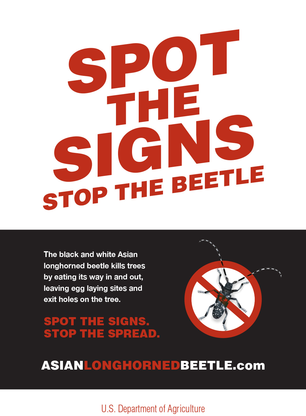 Protect Our Nation’s Trees this Summer. Take a Break, Enjoy the Shade ...