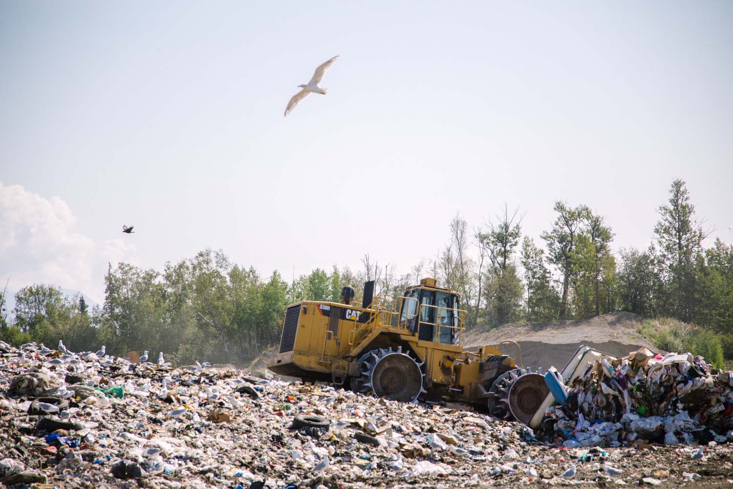 STUDY REVEALS LACK OF AWARENESS OF WASTE CHALLENGES FACING U.S ...