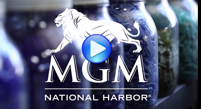 MGM National Harbor to Feature Permanent Art Collection Inspired by ...