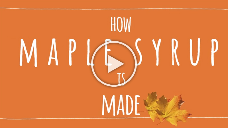Could a Pure Maple Syrup Extract Be Tapped for Better Brain Health?