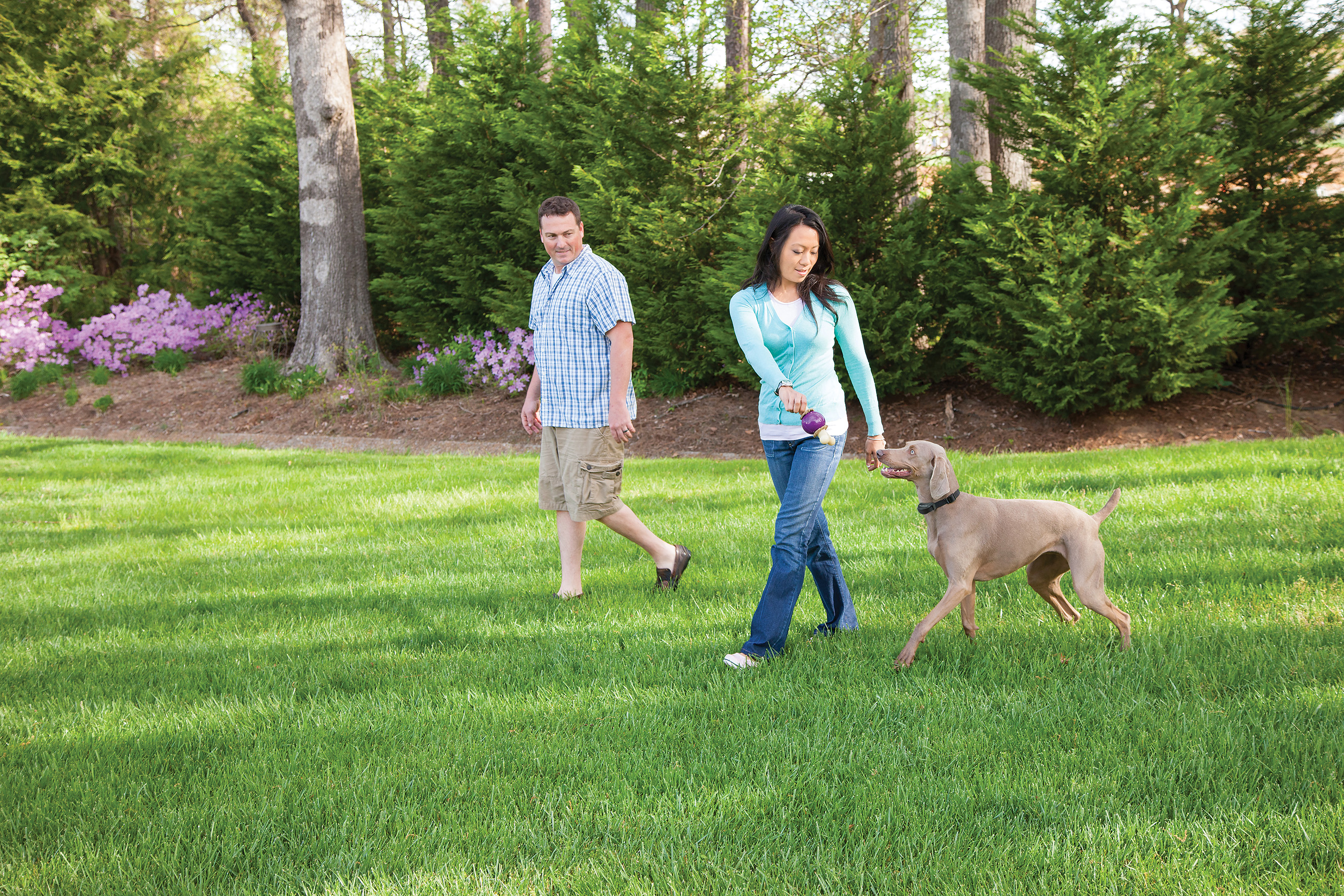 PetSafe® Brand Introduces Spring “Let’s Go Outside” Campaign