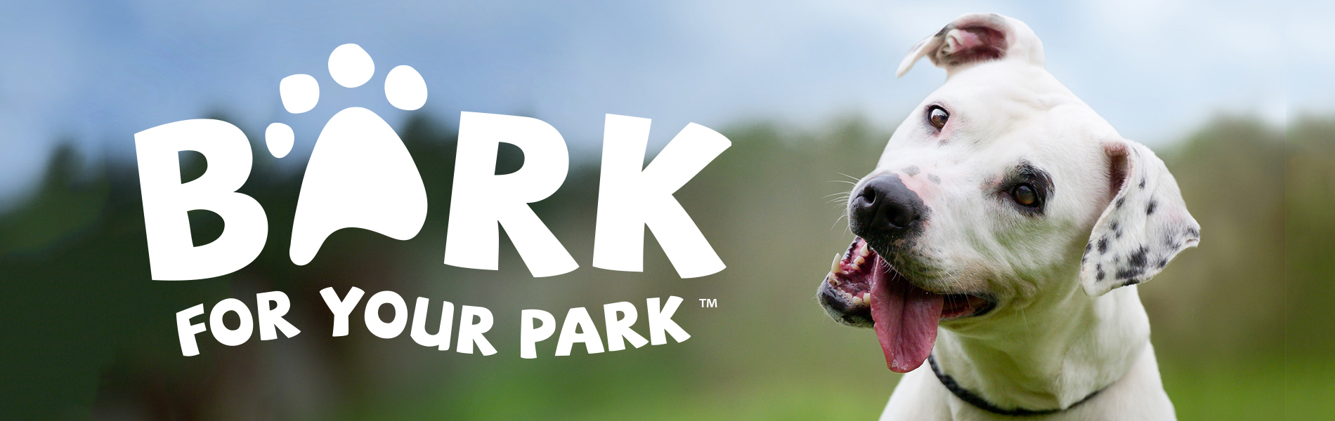 PetSafe® Brand to Award More Than $250,000 to Help 25 Communities