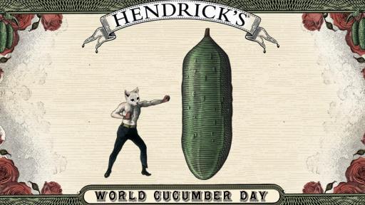 CATS VERSUS CUCUMBERS