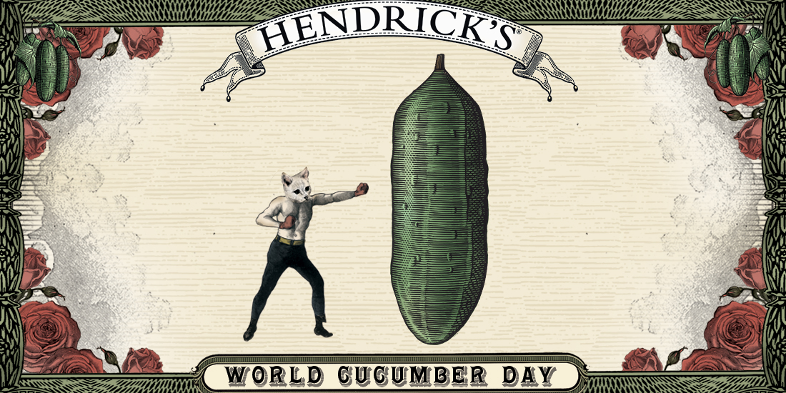 CATS VERSUS CUCUMBERS