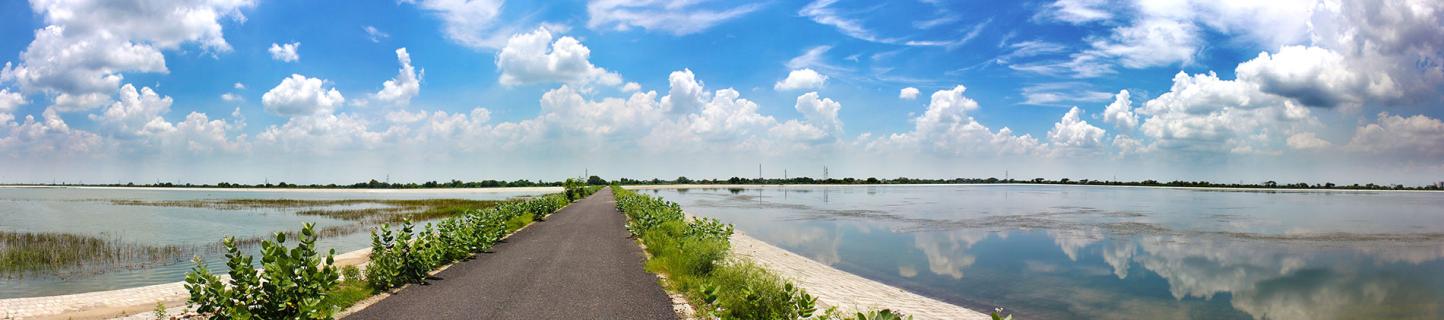 FDA Approves the Tecnis Symfony® IOLs, the First and Only Extended ...