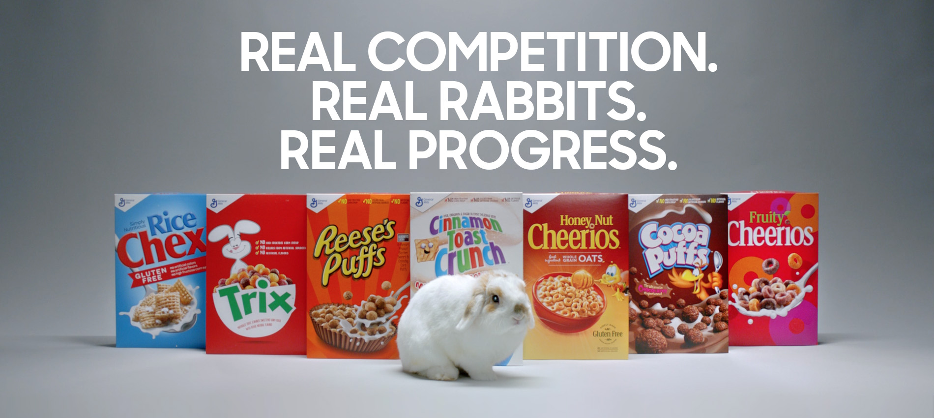 The Honorary Real Trix Rabbit announces first “Rabbit Showdown” calling ...