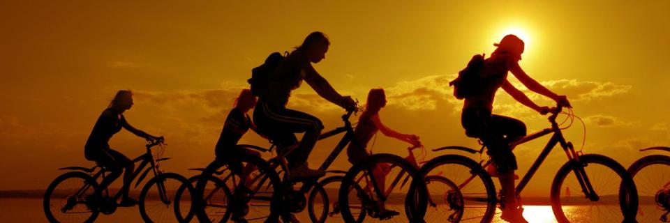 FLATBIKE.NET INTRODUCES A MOUNTAIN BIKE THAT FITS IN YOUR CAR TRUNK.