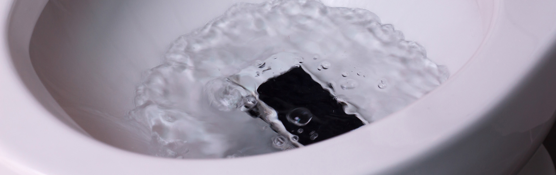 You Dropped a Phone in the Toilet—You Won’t Believe What Happens Next!