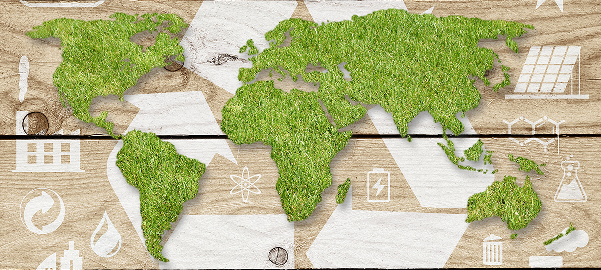 Global Environment Survey