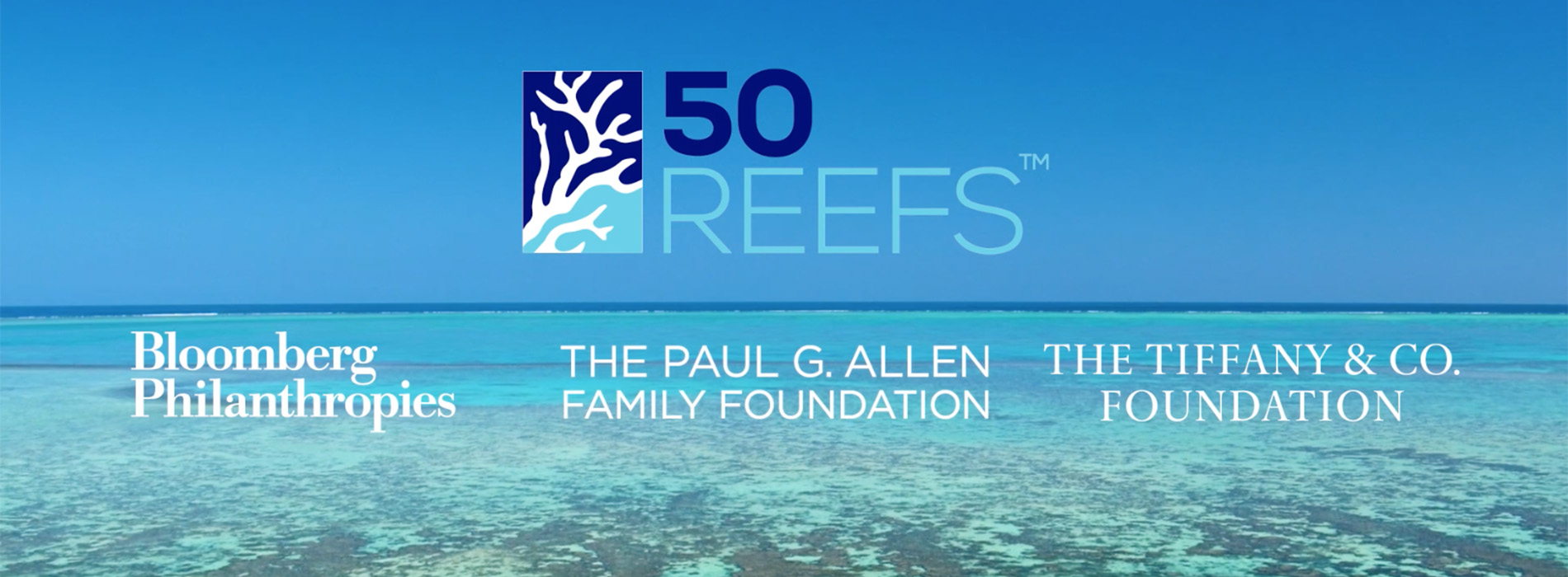 A Global Plan to Save Coral Reefs from Extinction