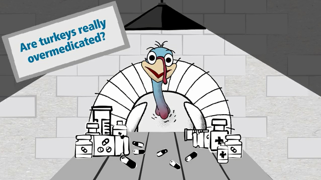 Talking Turkey: Seeing through the Myths on Cages, Factory Farms and ...