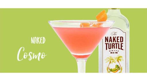 Summer Goals: Sip Naked. Save Turtles.