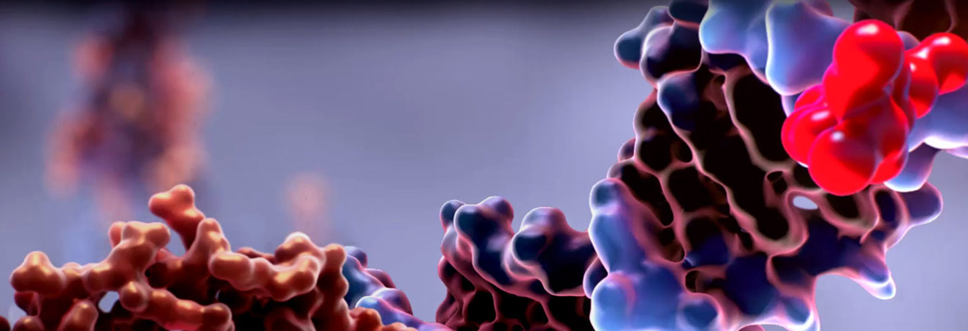 Otsuka And Proteus® Announce The First U.S. Fda Approval Of A Digital ...