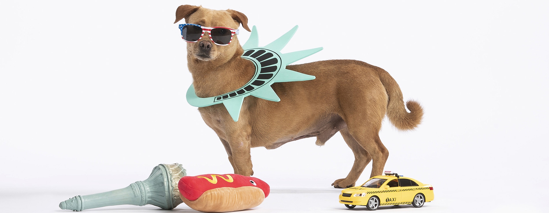 Let’s Go! Expedia Celebrates the Dog Days of Summer with Big Travel Savings
