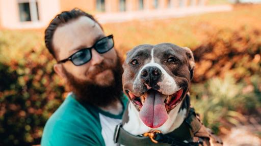 National Service Dog Awareness Month Brings Spotlight to Military Veterans