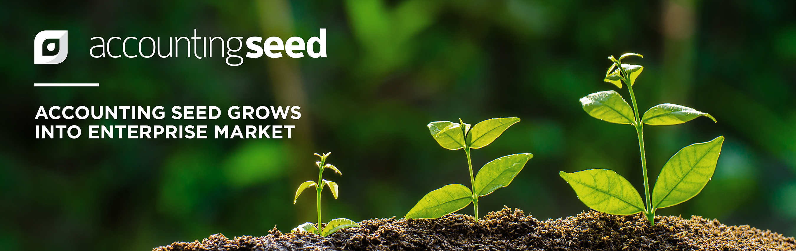 Accounting Seed Expands into Enterprise Market