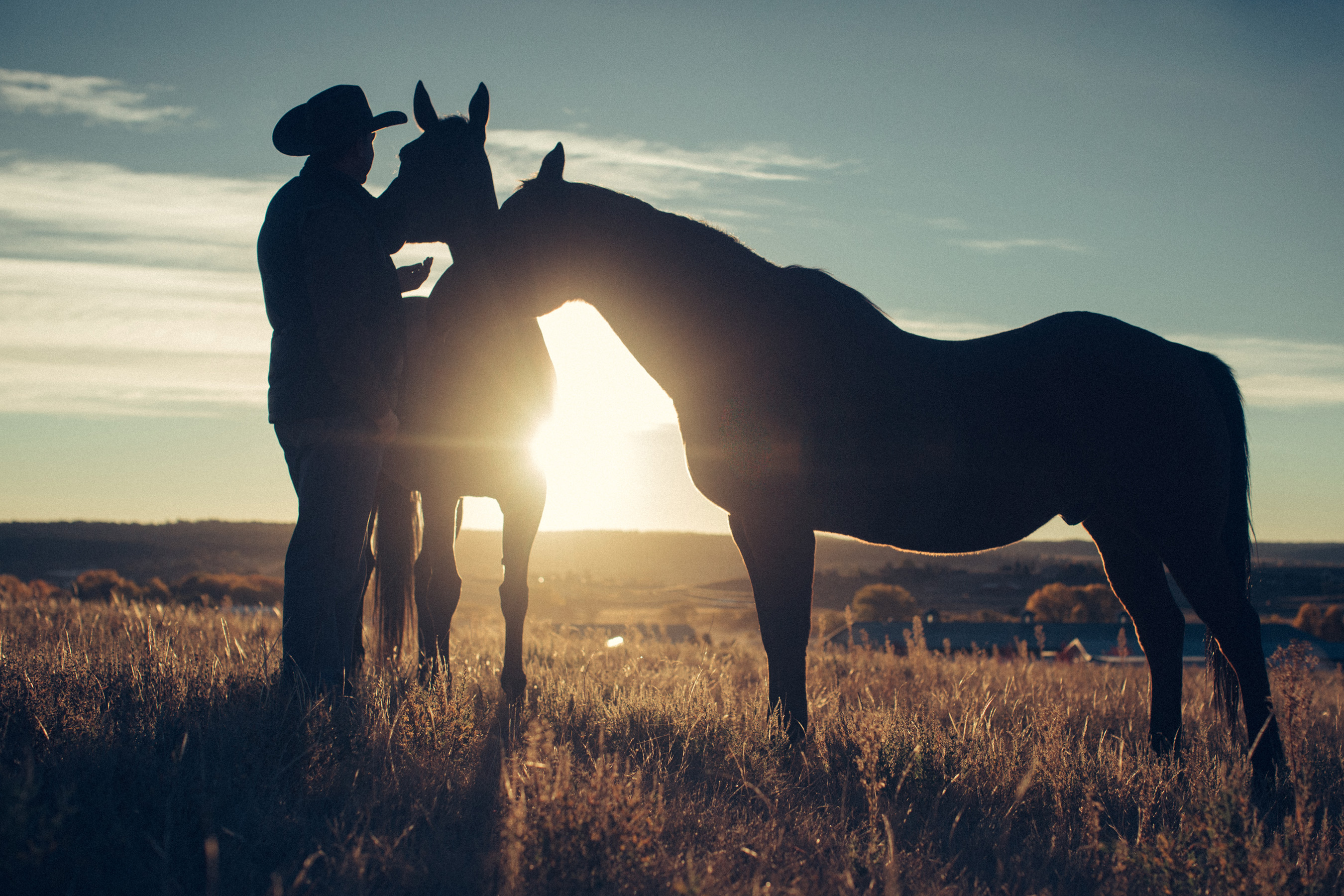 The Right Horse Initiative Celebrates One-Year Anniversary as a Program ...