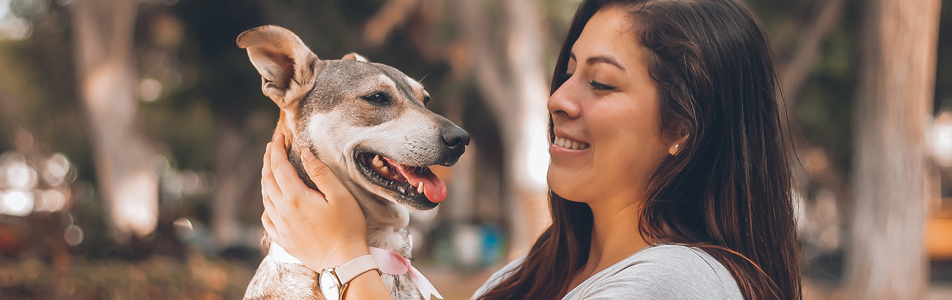 The Pet Leadership Council Announces Launch of Be Dog Smart™