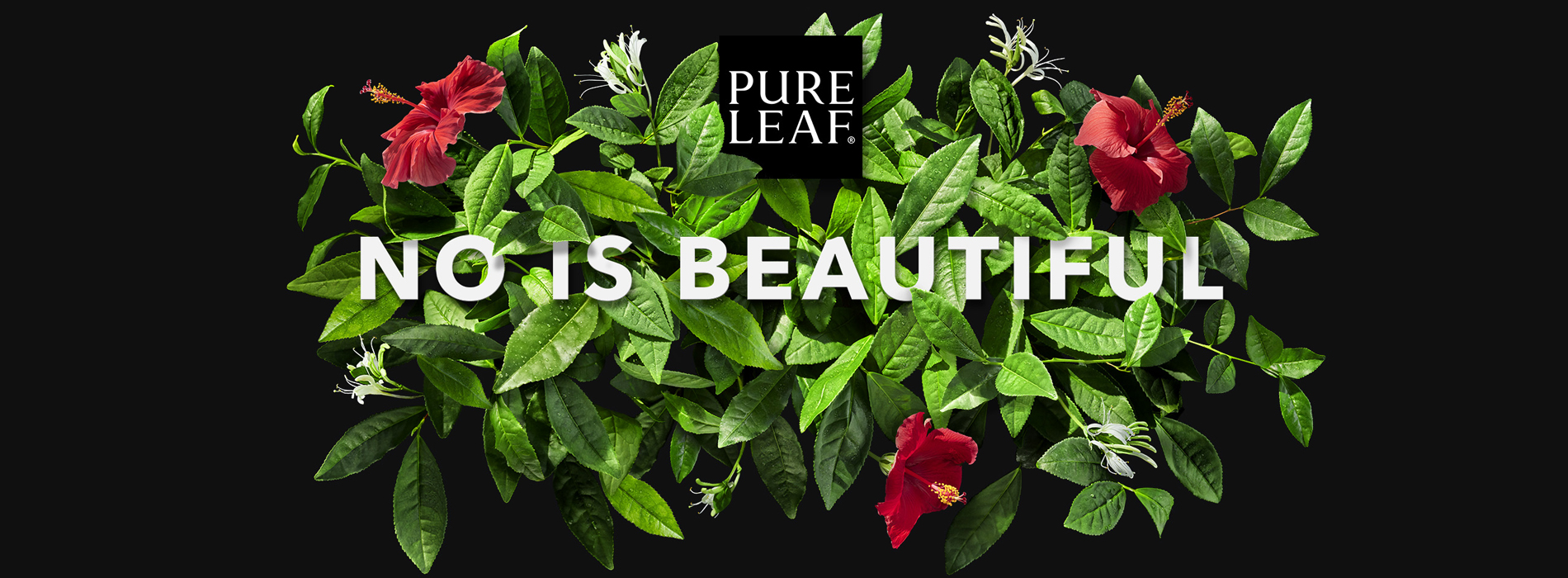 Amy Poehler And Pure Leaf Iced Tea Teach Us The Art Of No-ing With A ...
