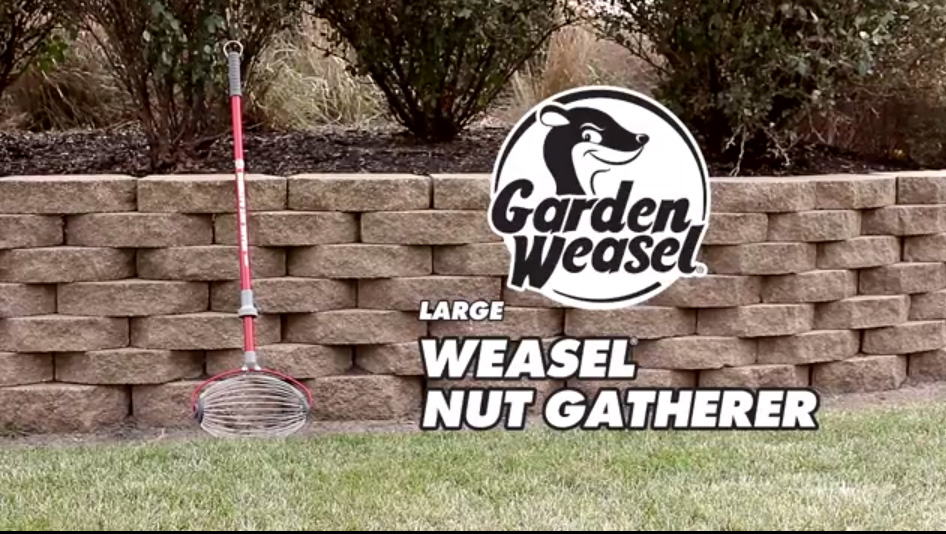 Garden Weasel Nut Gatherer Pro | Fasci Garden