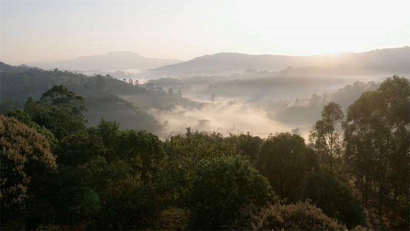 Nespresso Introduces KAHAWA ya CONGO, The Newest Reviving Origins Coffee