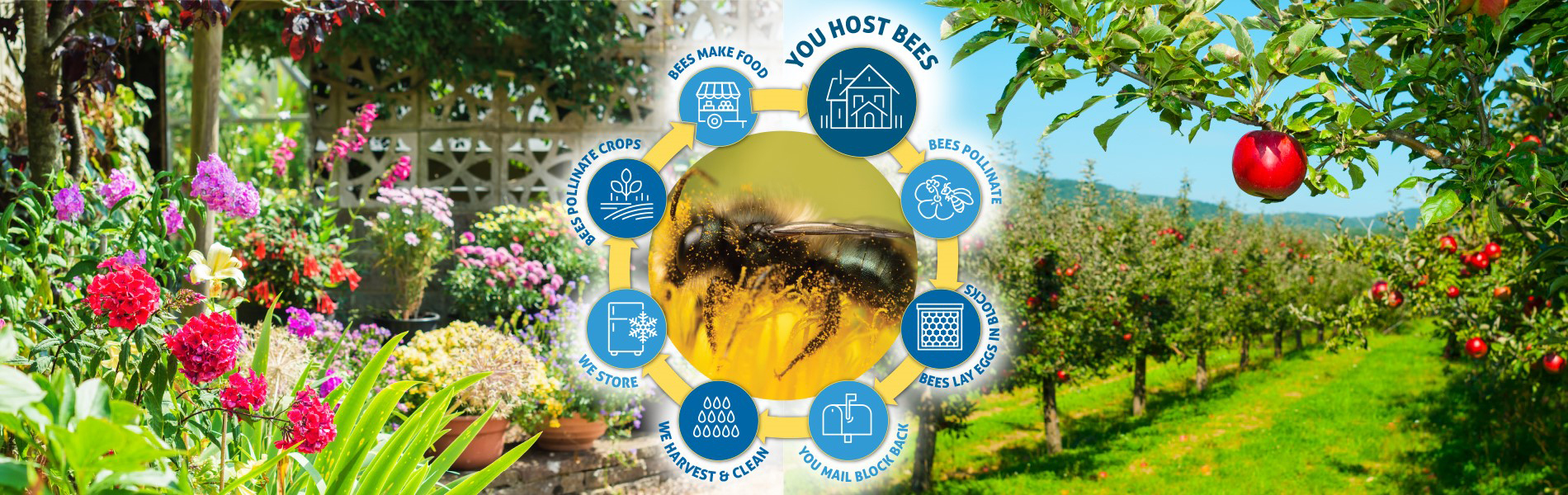 Bee Rental Program Brings Together Gardeners and Farmers to Make More Food