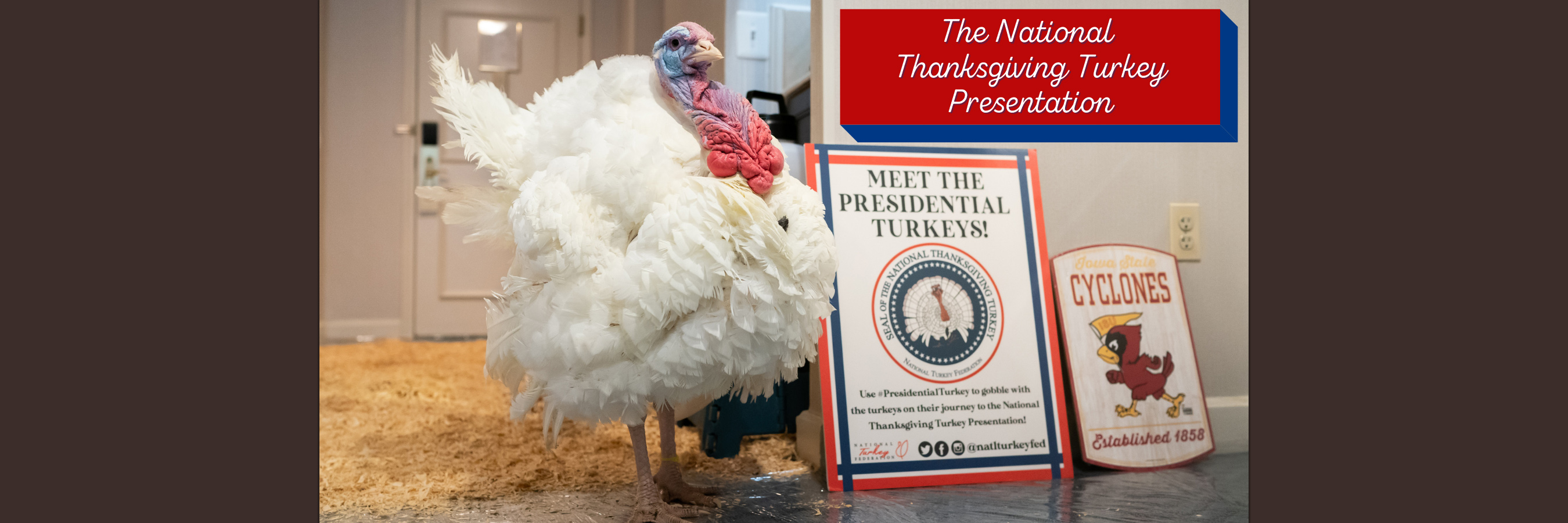 National Thanksgiving Turkey Welcomed to the White House
