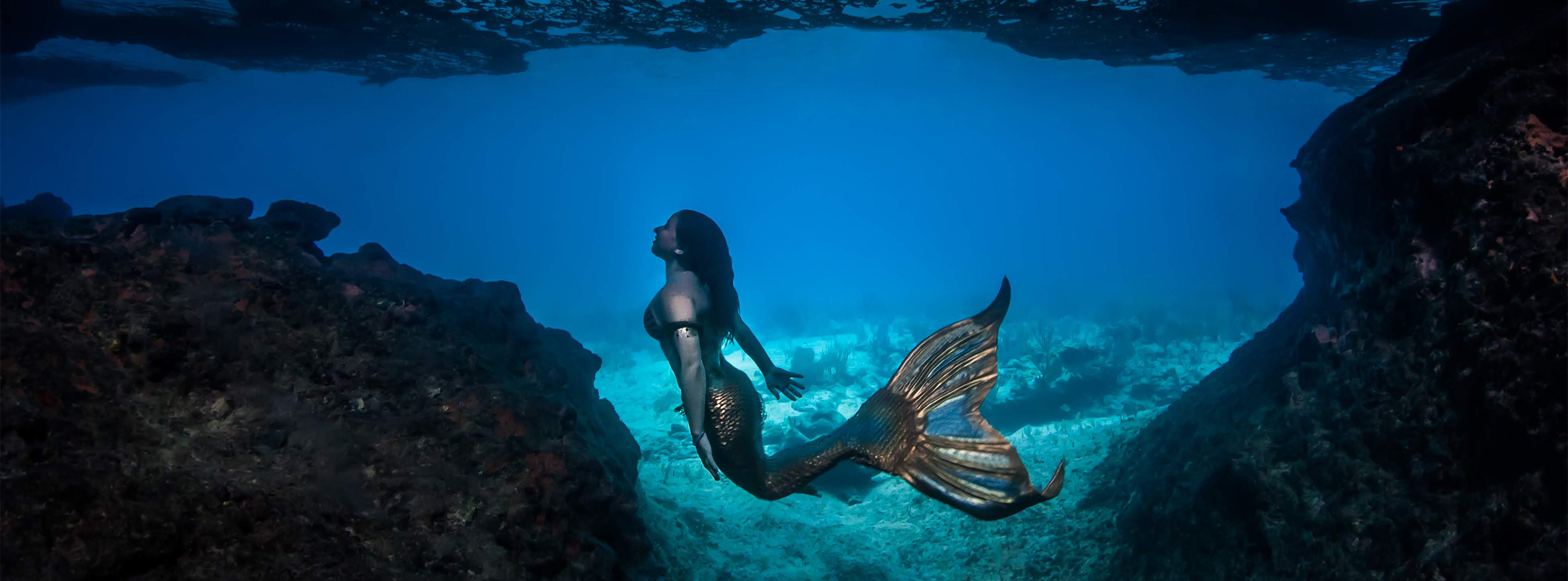 Emily Alexandra Guglielmo The American Mermaid™ Takes a Big Dive to ...