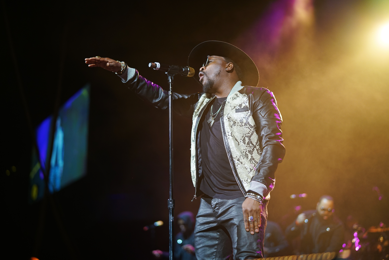 Music Entertainment Industry