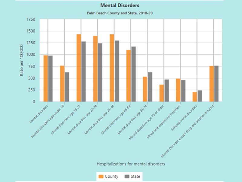 NeuroBehavioral Hospitals of the Palm Beaches