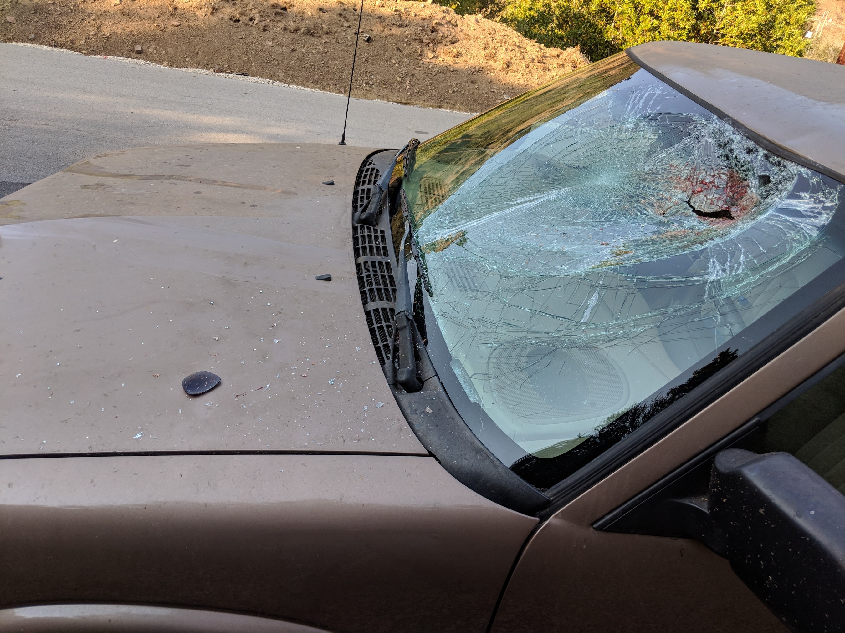 Director Neil Myers to Debut heartwarming documentary, Climb