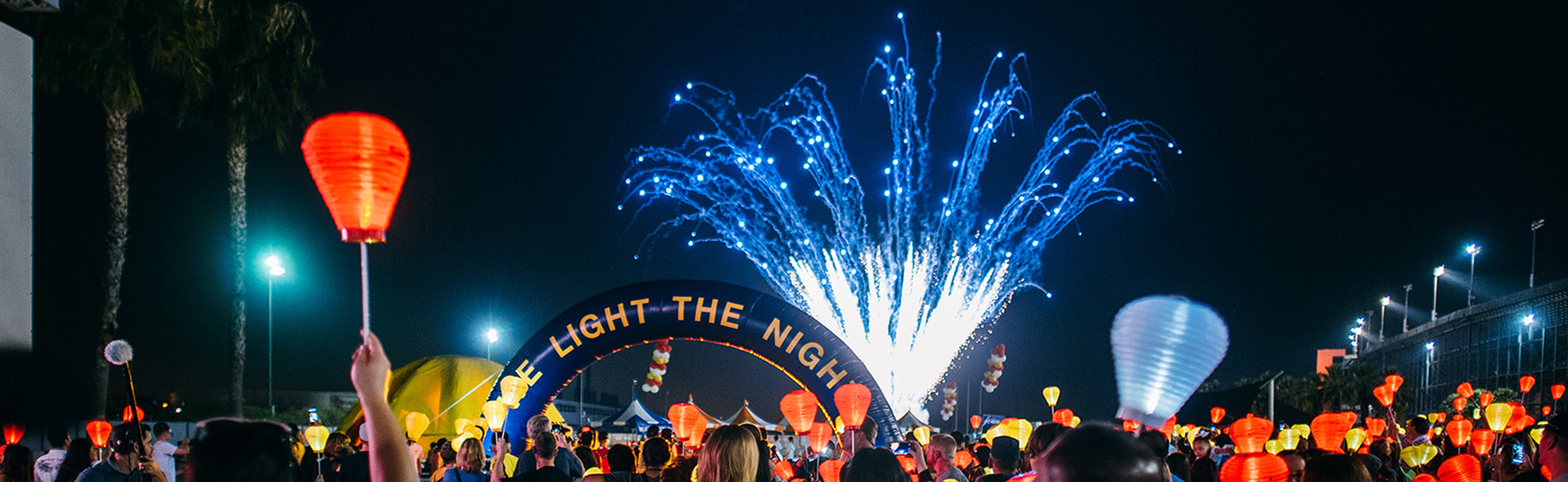 leukemia-and-lymphoma-society-31st-annual-light-the-night-philanthropic ...