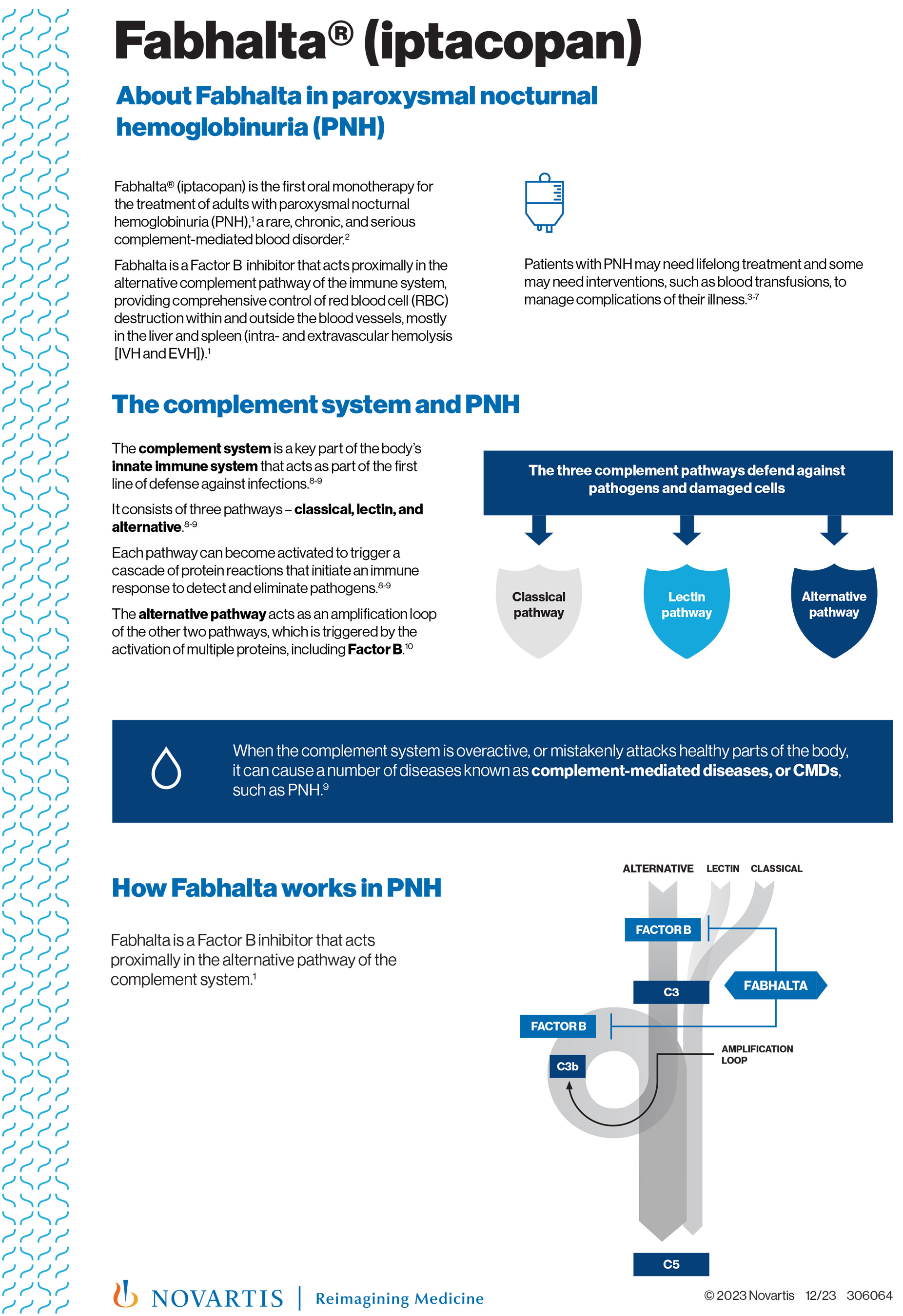 Novartis receives FDA approval for Fabhalta® (iptacopan), offering ...