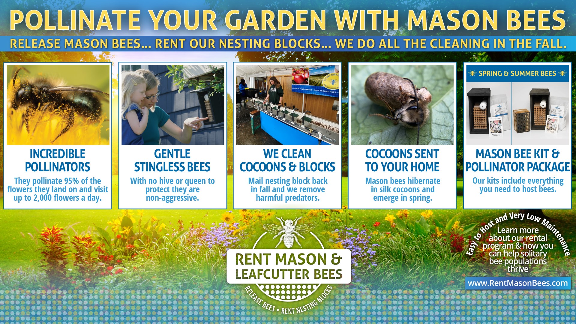 Bee Houses: Proper Set Up and Care for Mason Bees