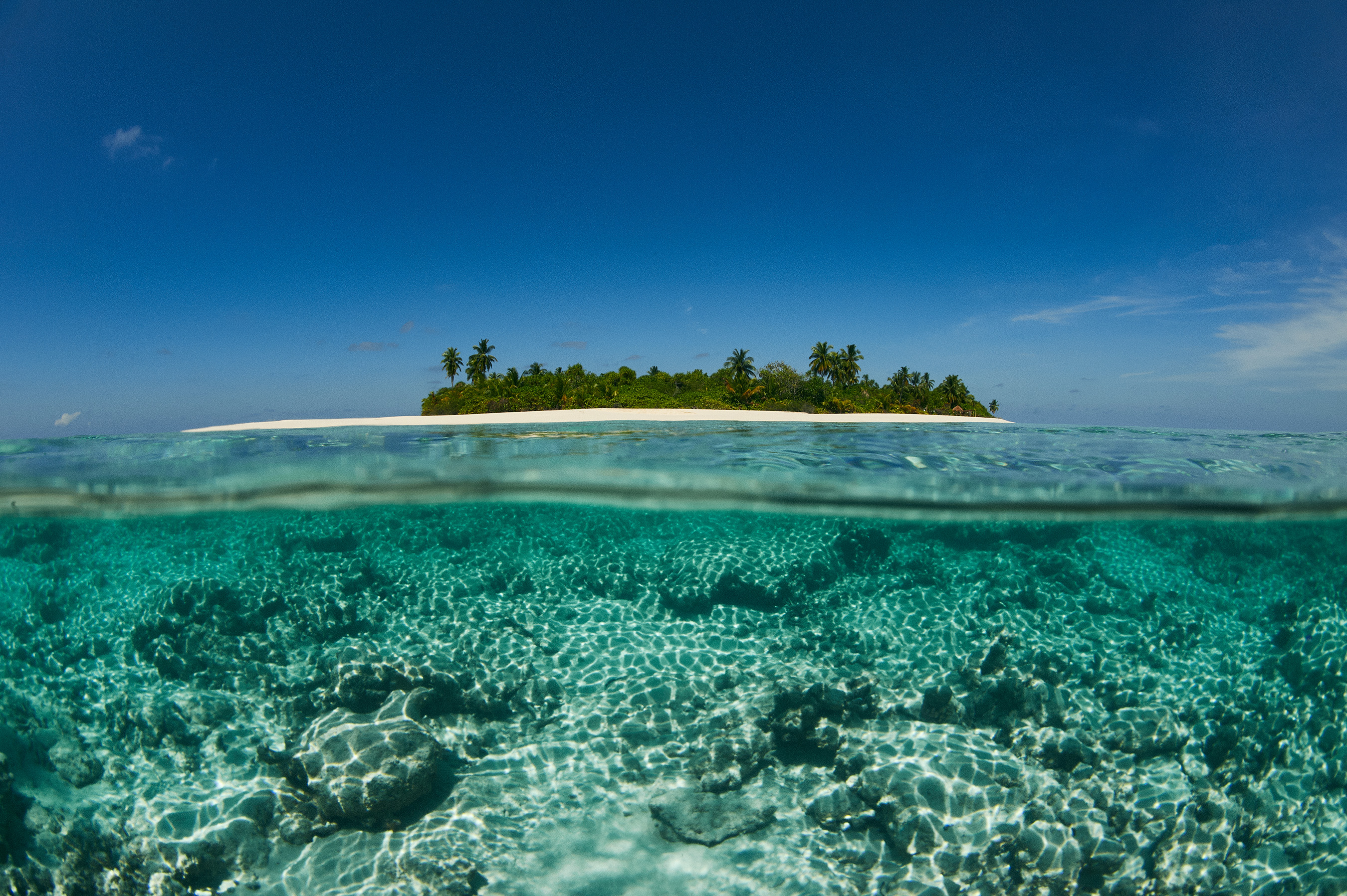 Corona y Parley for the Oceans