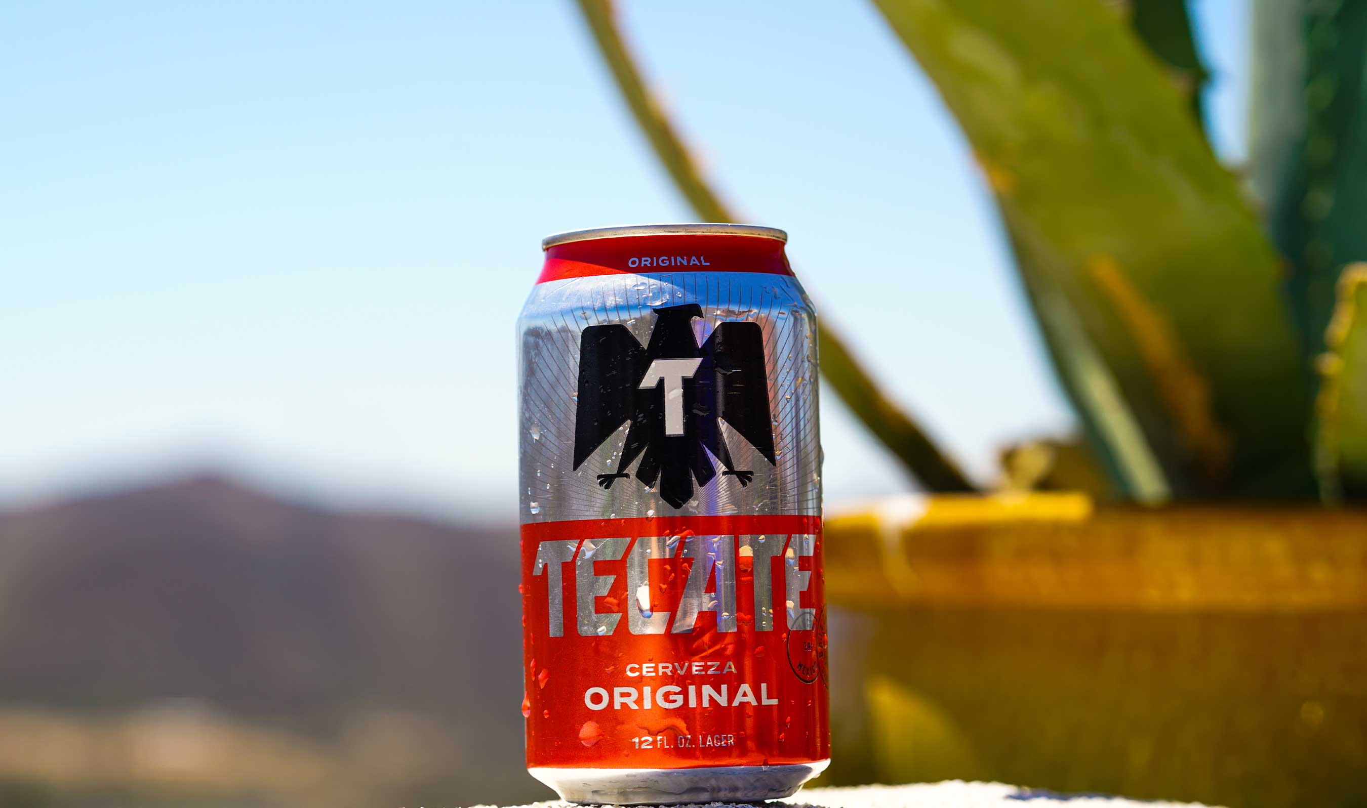 TECATE® ANUNCIA PATROCINIO OFICIAL DE LOS EE.UU. A LA LIGA BBVA MX